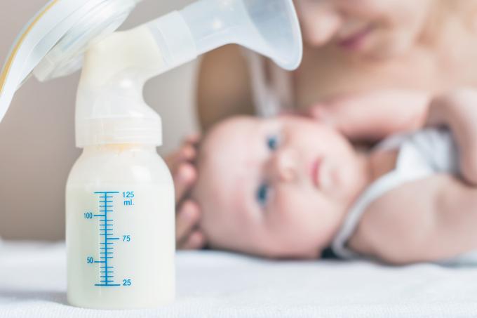 10x wat je moet weten over kolven | WIJ.nl