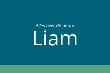 Alles over de naam Liam | WIJ.nl