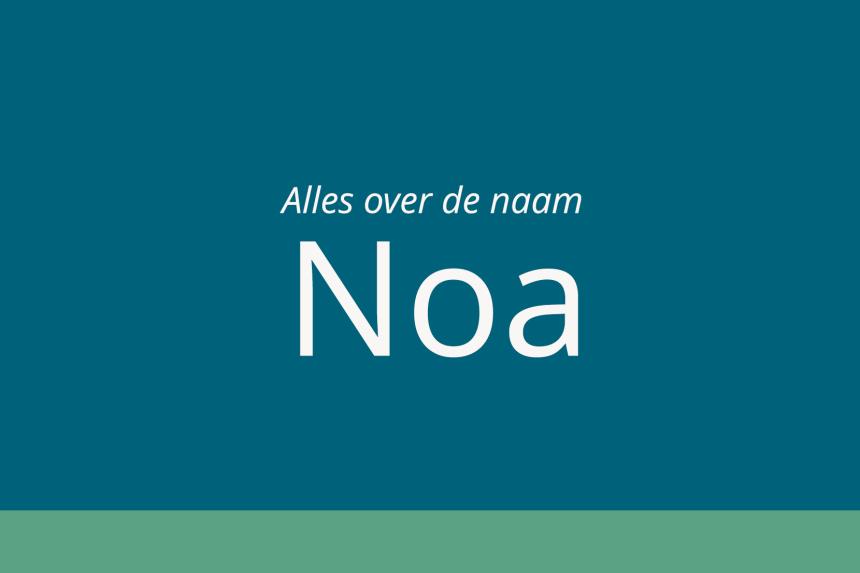 Alles over de naam Noa | WIJ.nl